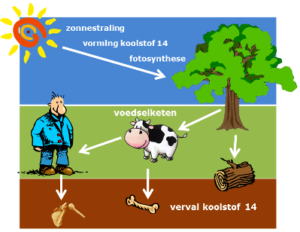 Koolstof-14-methode - betavak.nl